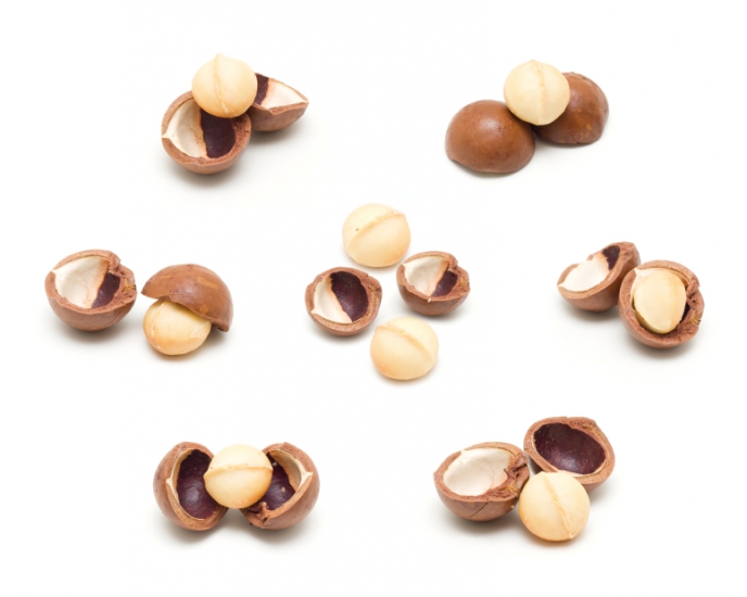 Macadamia Nuts and oil: The health benefits of this fat-rich produce