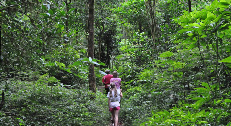 Hiking in Bali: The best trails for nature lovers