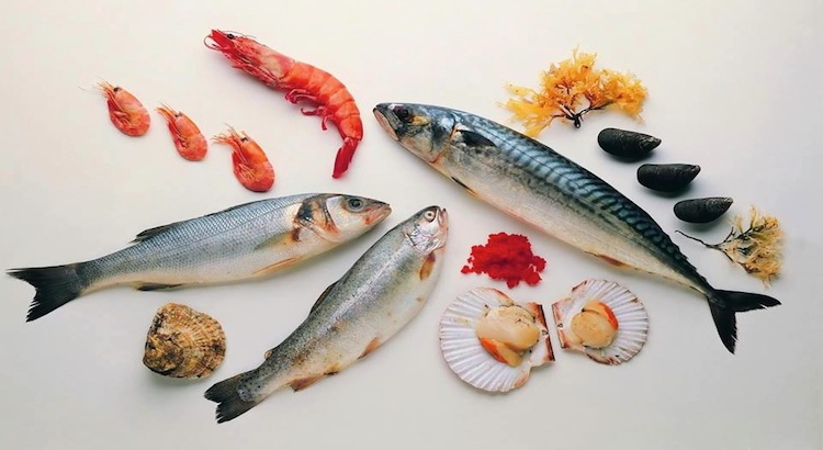 Feasts of the Ocean: What to look out for at the upcoming Singapore ...