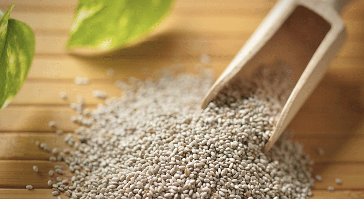 Chia Seeds: Benefits of the South American superfood