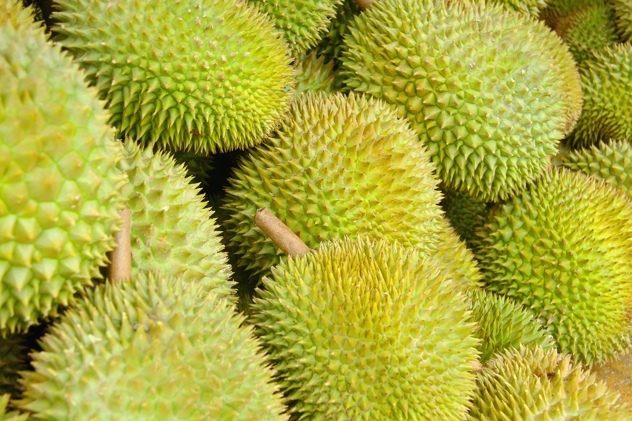 Durian Fruit Benefits For Male